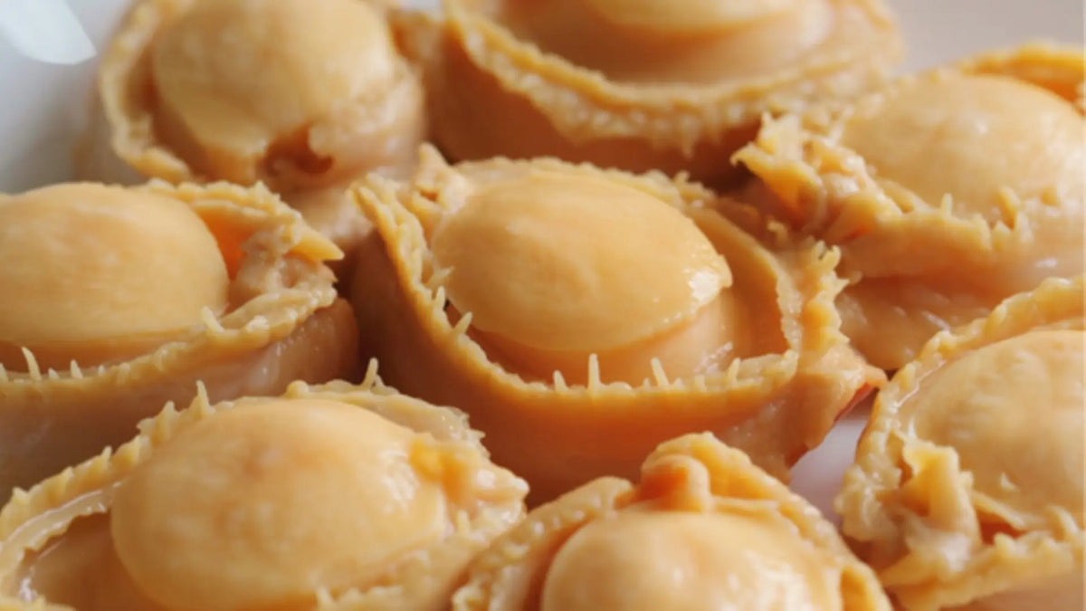 Canned Abalone Cooking Tips & Recipes | Seaco Singapore – Seaco Online