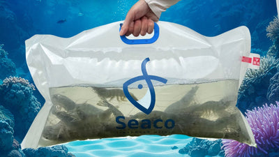 Best Seafood Restaurants Singapore – Seaco Online