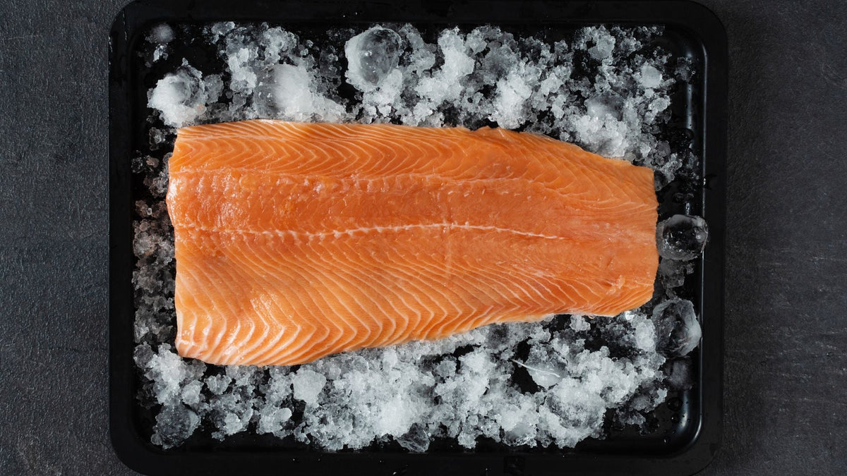 Frozen Fish in Singapore | Seaco Online