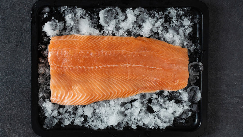 Healthiest Frozen Fish | Frozen Fish Fillets | Seaco – Seaco Online