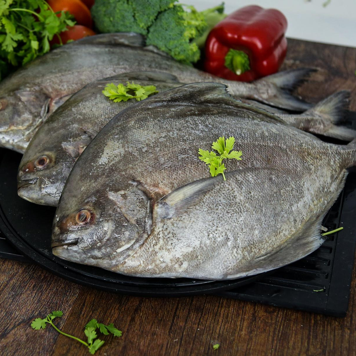 > Buy Pomfret Fish Online in Singapore – Seaco Online