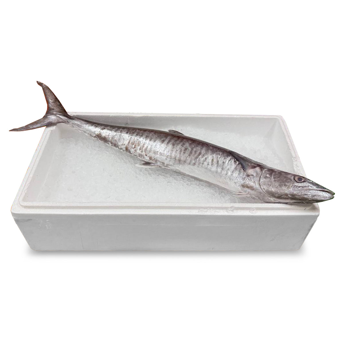 Whole Fresh Batang Fish | Batang Fish Delivery | Seaco – Seaco Online