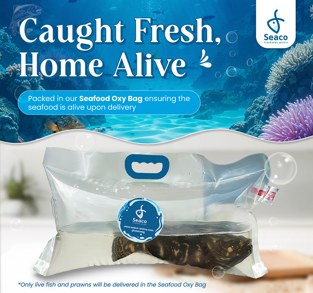 Seaco: Singapore's Trusted Seafood Supplier – Seaco Online