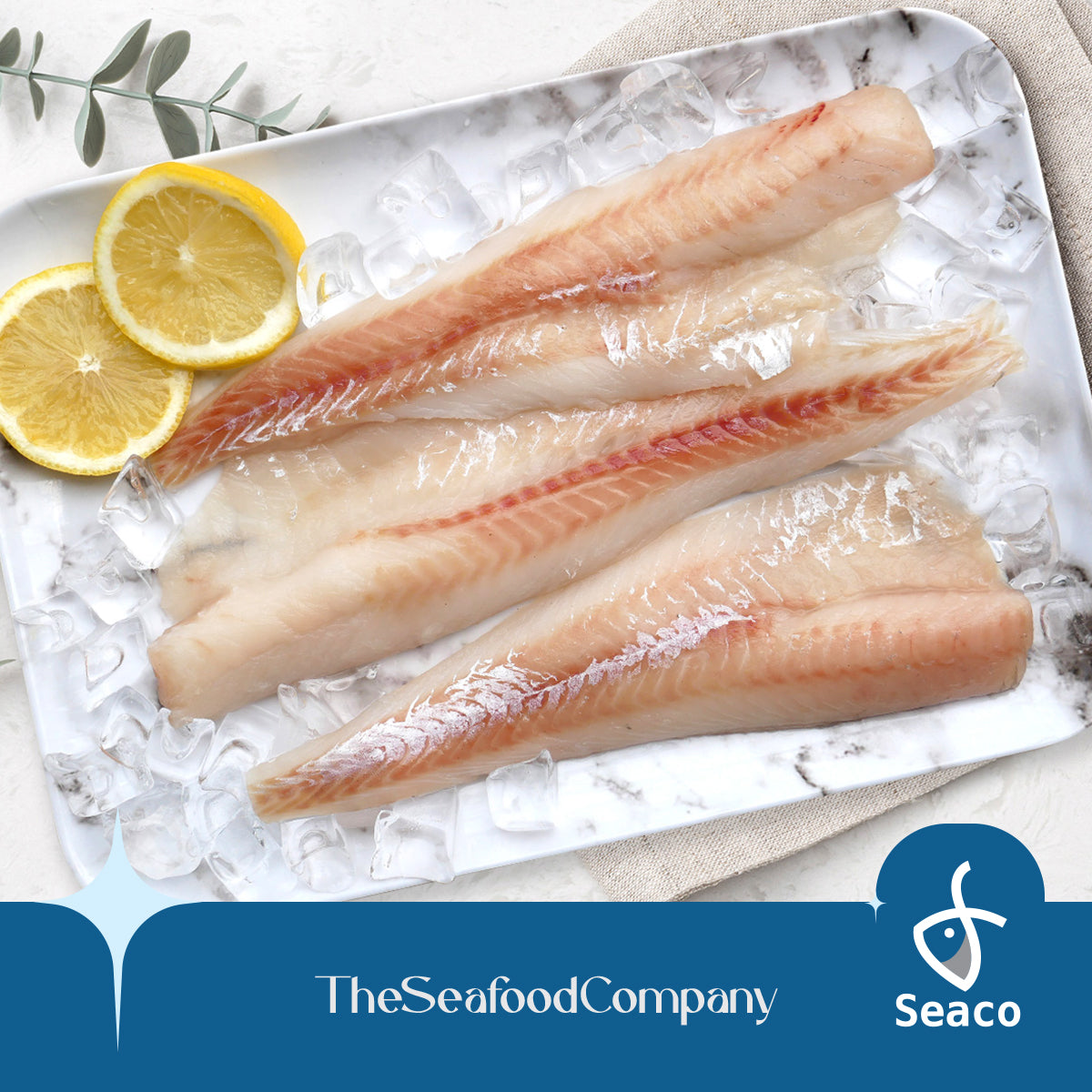Alaska Pollock Fillet (MSC Certified) – Seaco Online