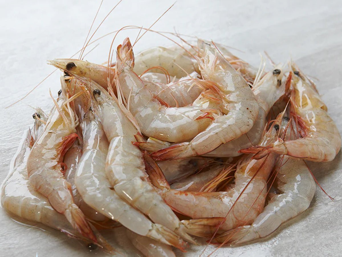 Pink Leg Prawns | Ang Kar Prawn Delivery Singapore | Seaco – Seaco Online
