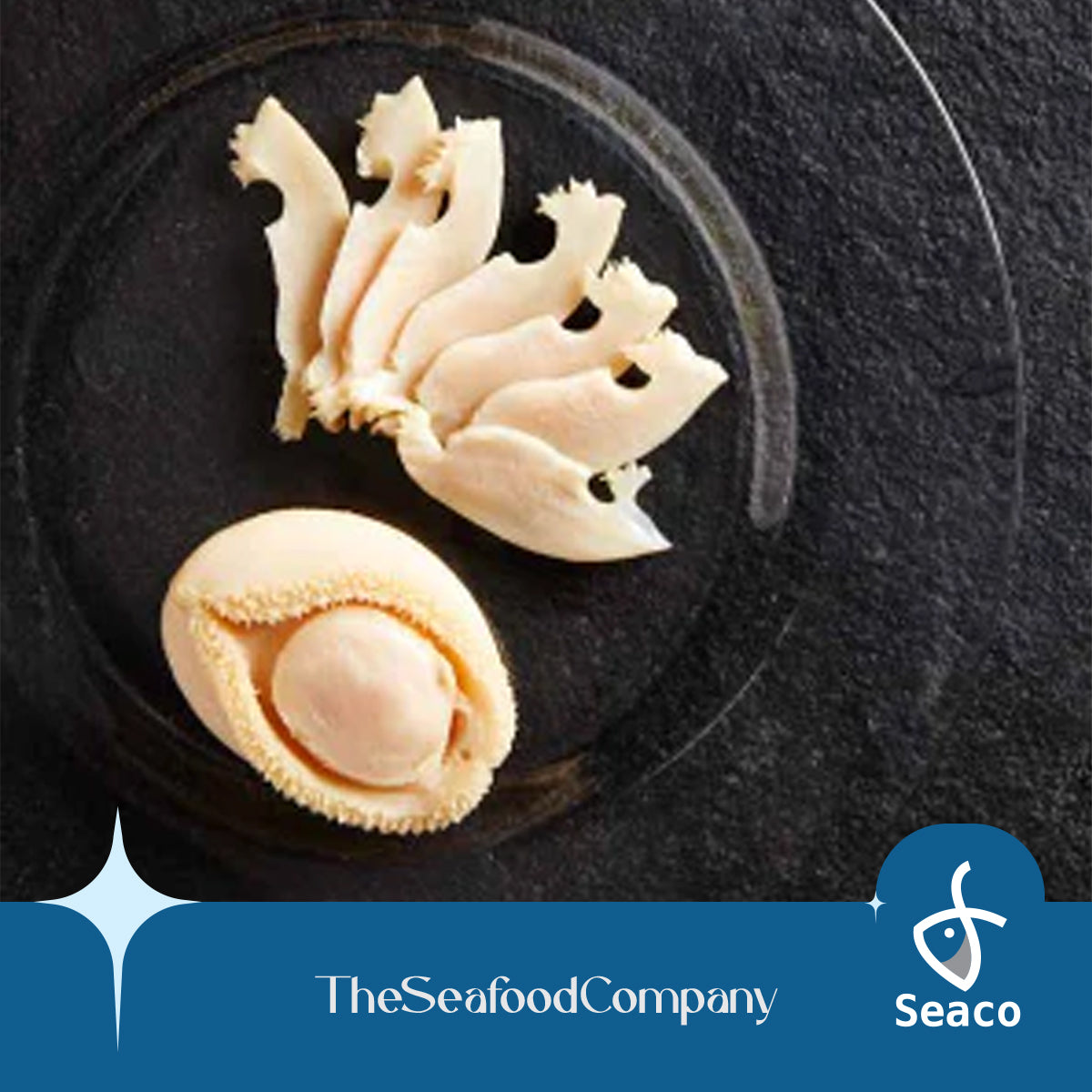 > Buy Abalone Online in Singapore – Seaco Online