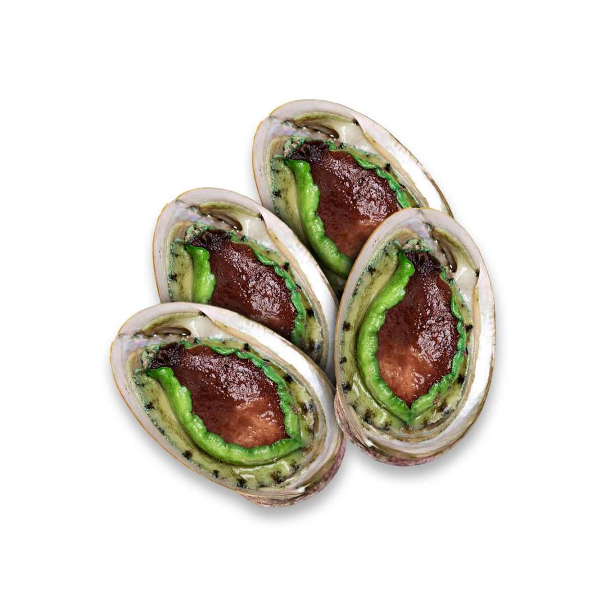 Frozen Abalone | Live Abalone | Canned Abalone Singapore – Seaco Online