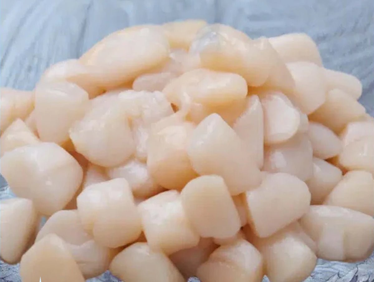 > Buy Scallops Online in Singapore – Seaco Online