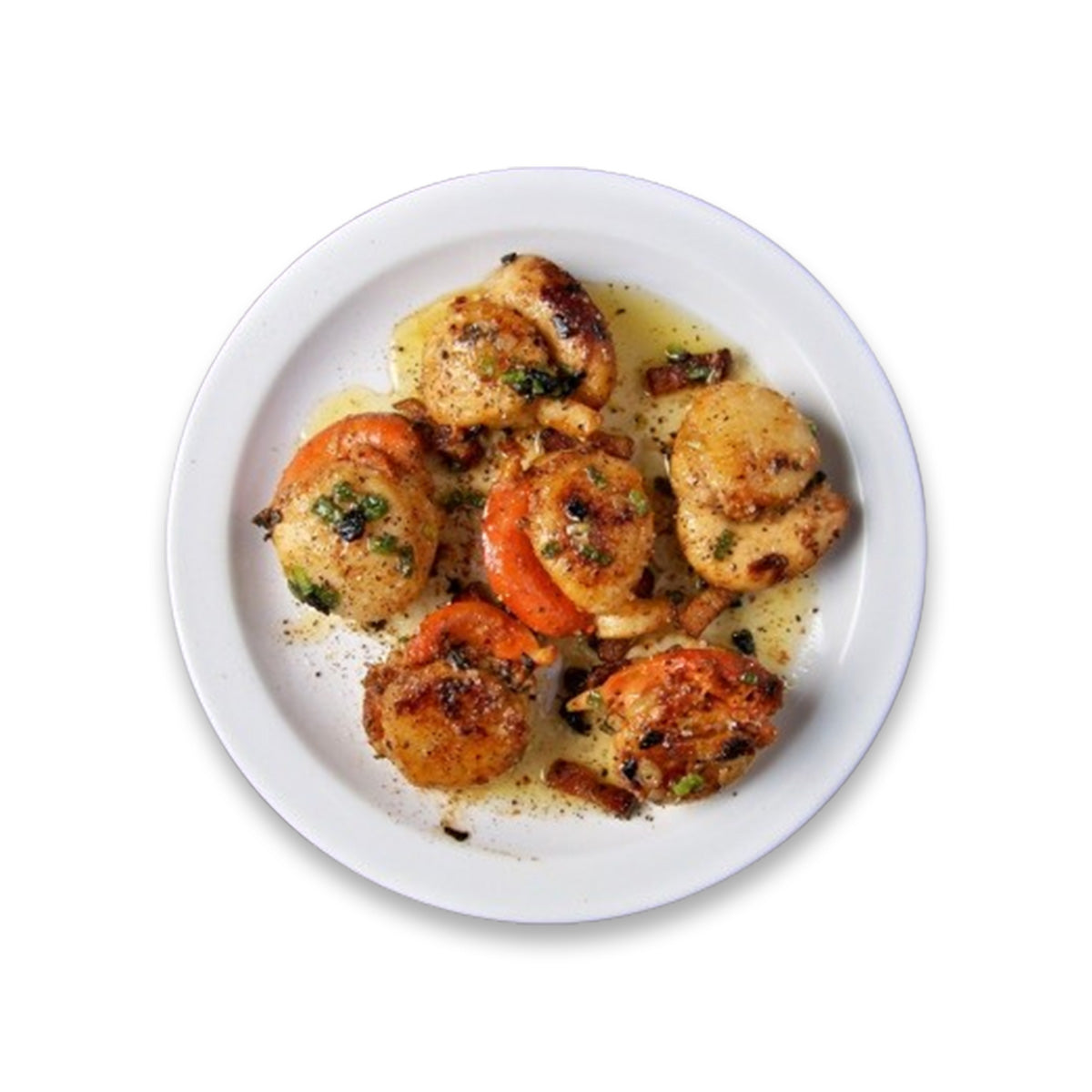 Best Frozen Scallops Singapore | Buy Scallops Online | Seaco – Seaco Online