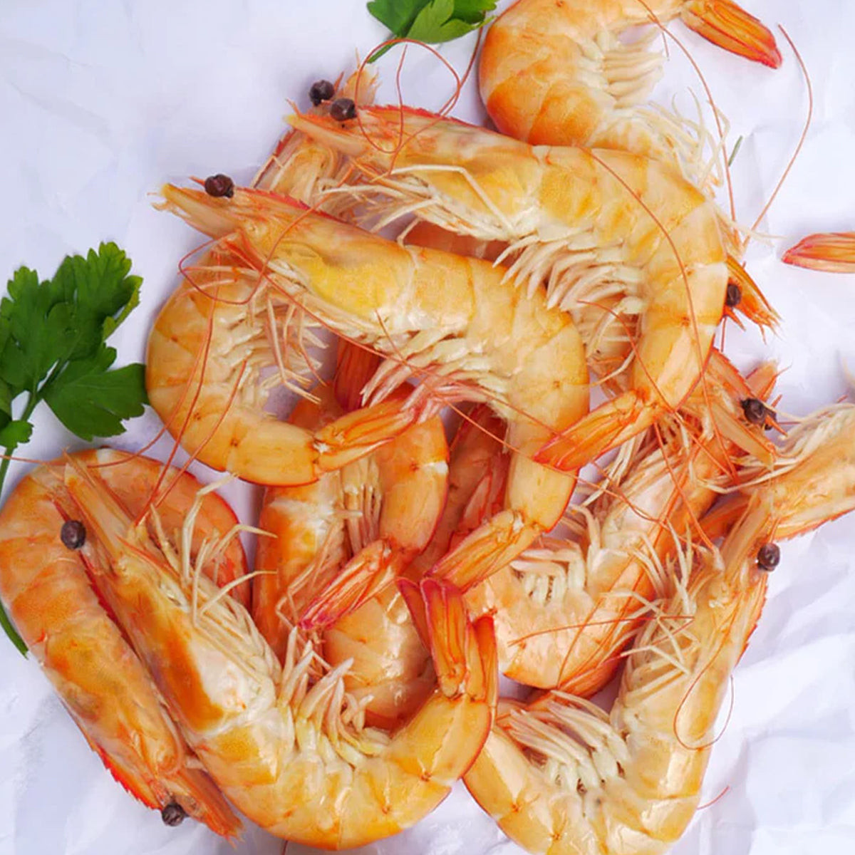 Cooked Vannamei Prawns | Vannamei Prawns Singapore Delivery – Seaco Online