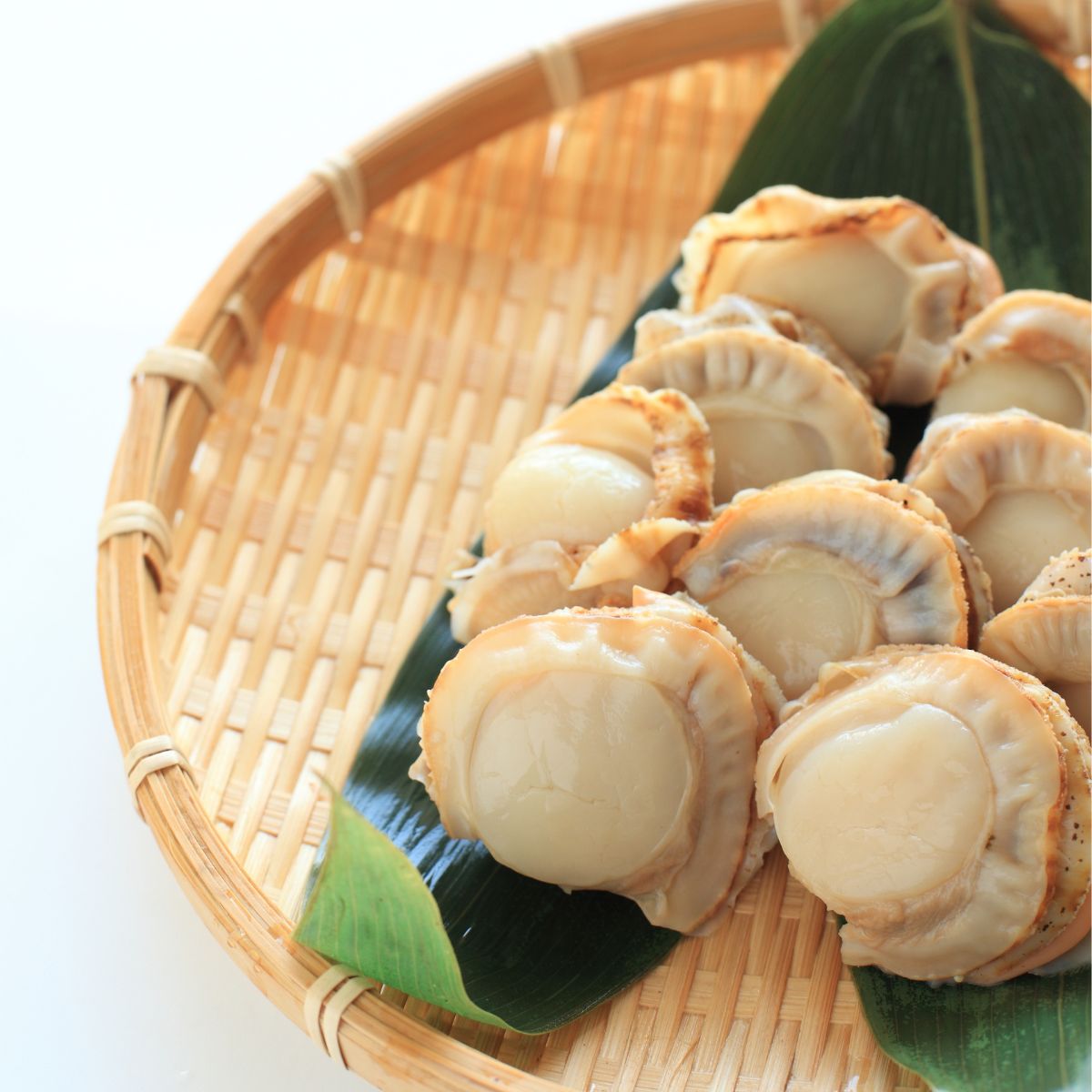 Boiled Scallop Meat | Cooked Scallops in Singapore – Seaco Online