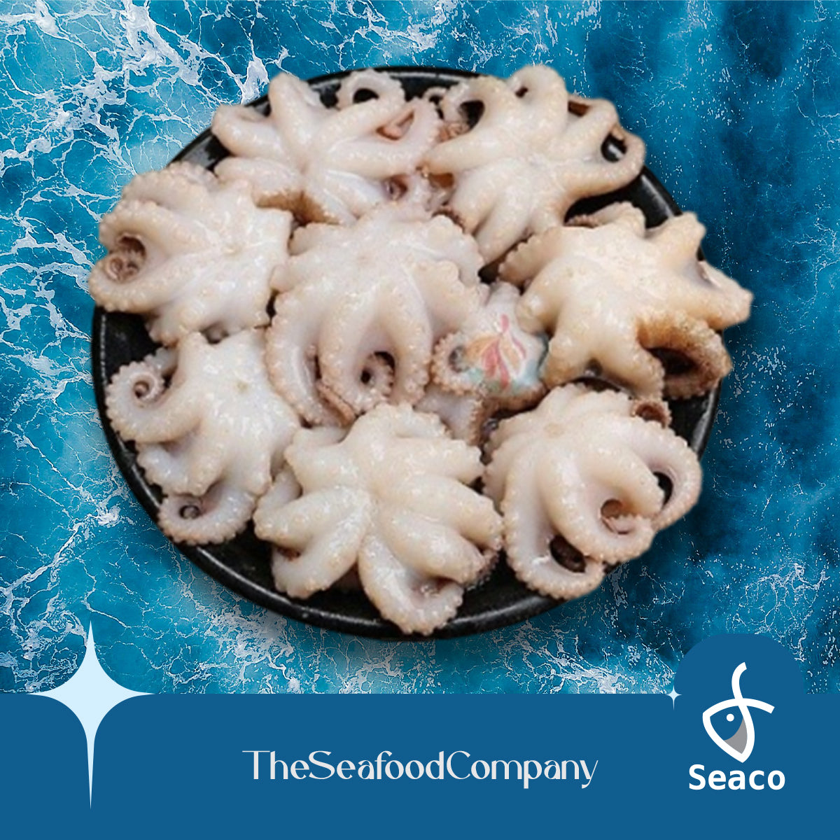 > Buy Frozen Clean Baby Octopus online in Singapore – Seaco Online