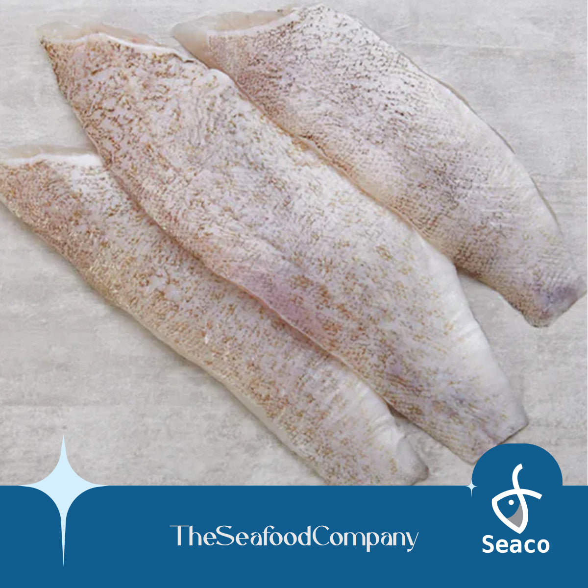 Grouper Fillet – Seaco Online