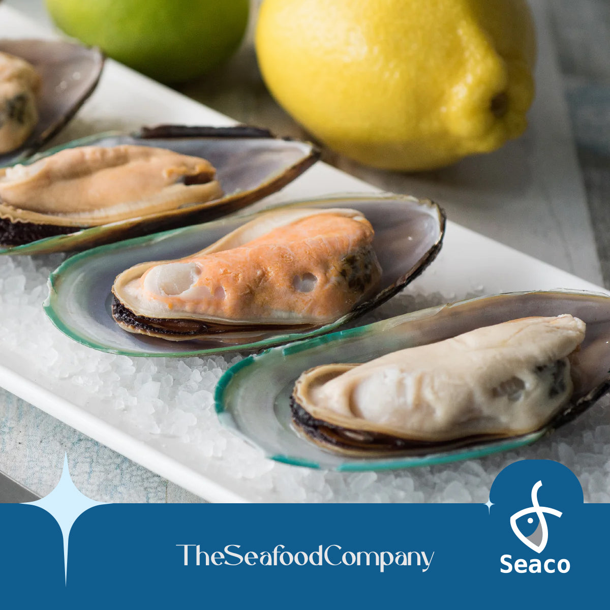 > Buy Half Shell Green Mussel online in Singapore – Seaco Online