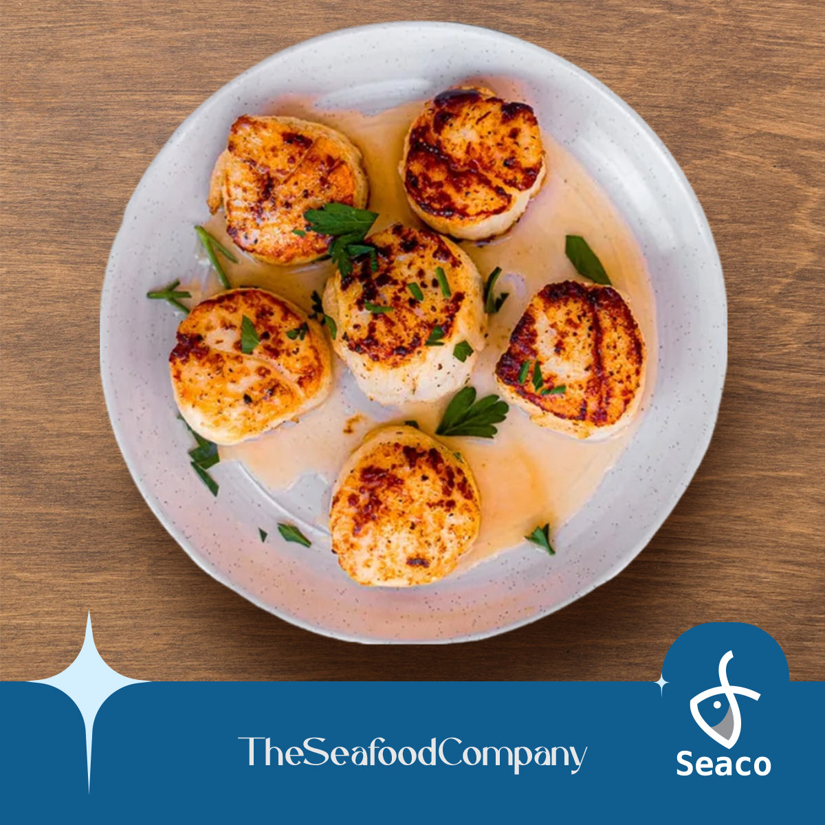 > Buy Scallops Online in Singapore – Seaco Online