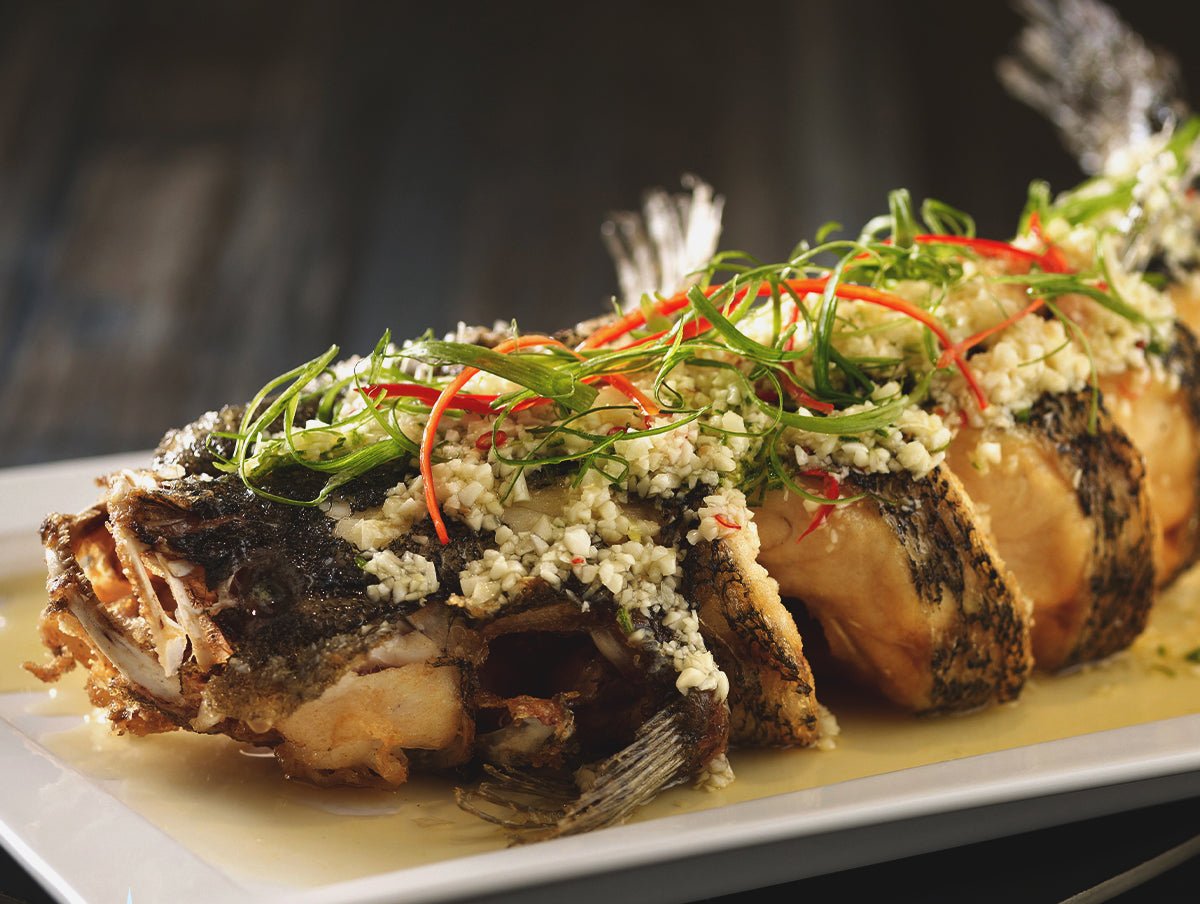 Buy Live Fish Online | Live Fish Delivery Singapore | Seaco – Seaco Online