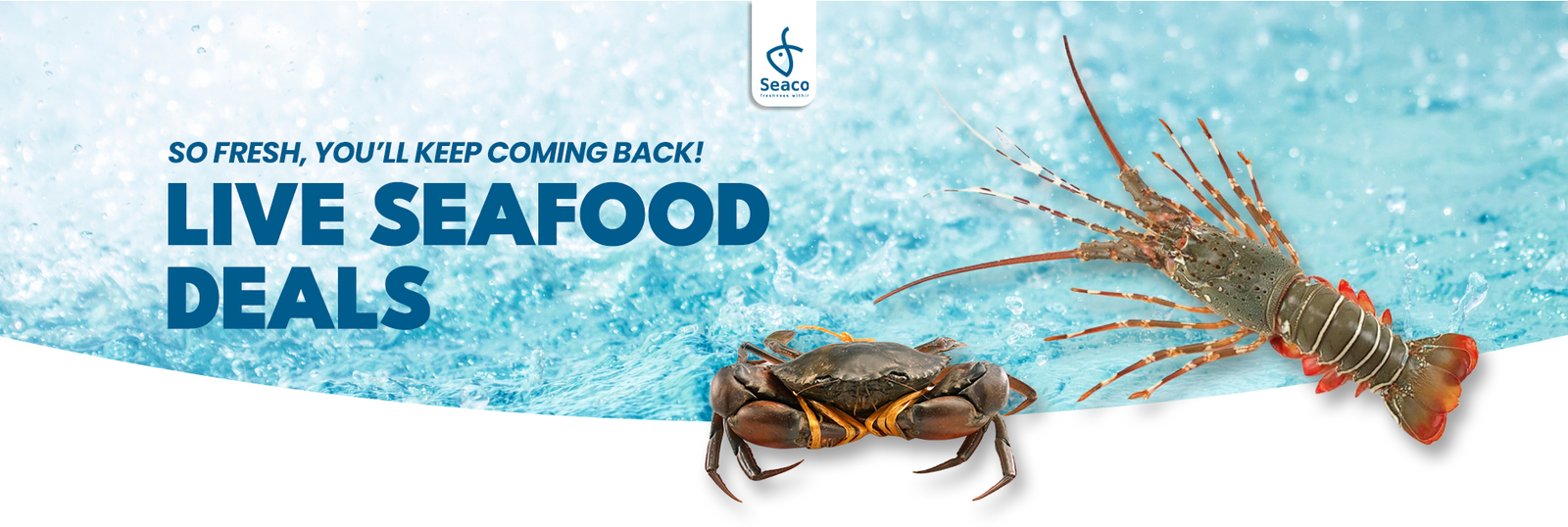 Seaco: Singapore's Trusted Seafood Supplier – Seaco Online