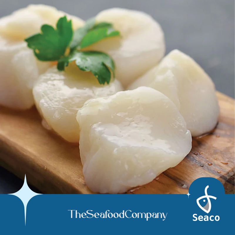> Buy Scallops Online in Singapore – Seaco Online