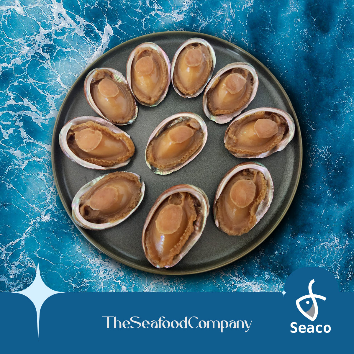 > Buy [Seaco] - Sake Abalone In Shell - 150gm online in Singapore ...