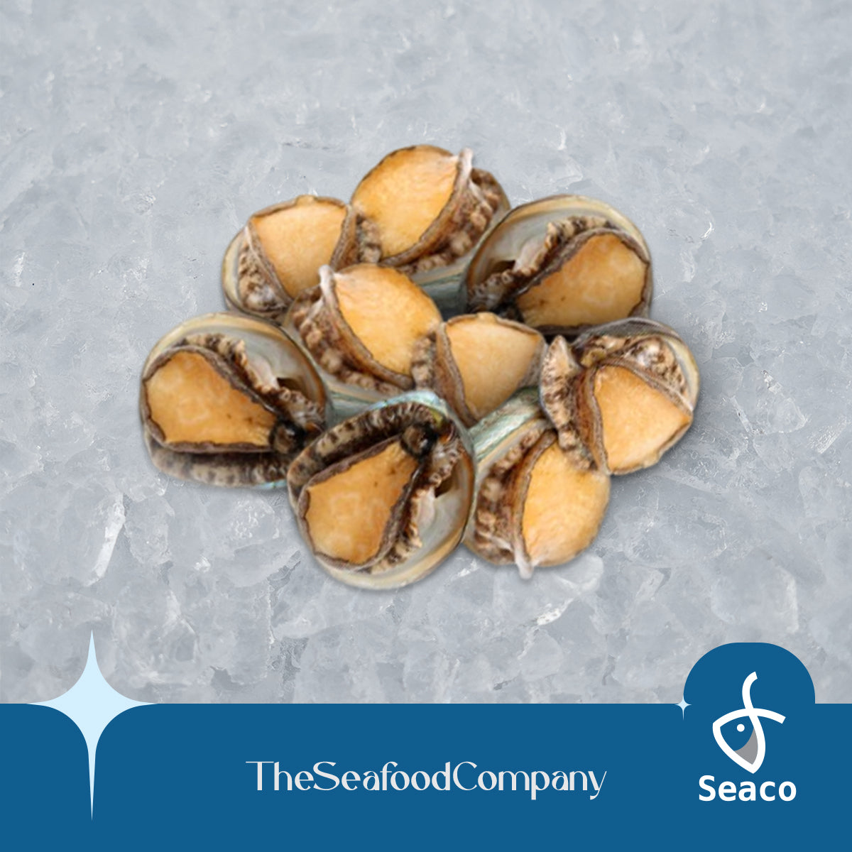 > Buy South Africa Frozen Abalone In Shell - 500GM (50-70GM/PC) online ...
