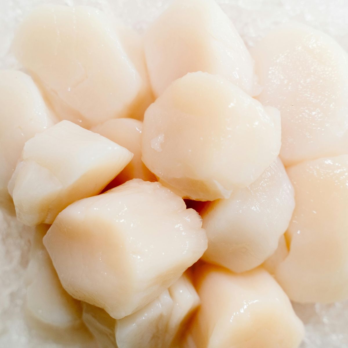 Scallop Meat U10 – Seaco Online