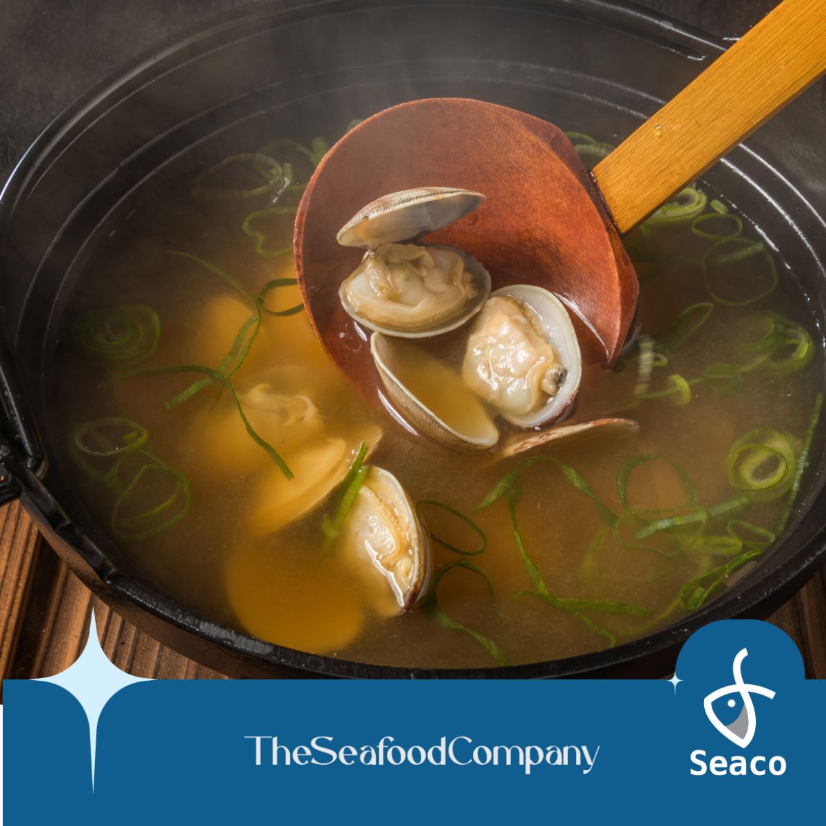 Cooked Short Neck Clam (20-30) – Seaco Online