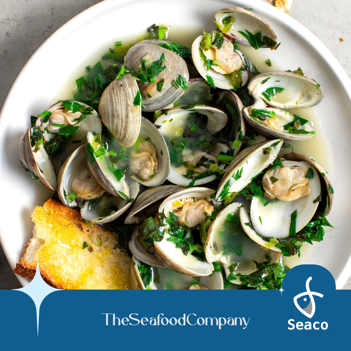 > Buy White Clam (60-80) - 1kg online in Singapore – Seaco Online