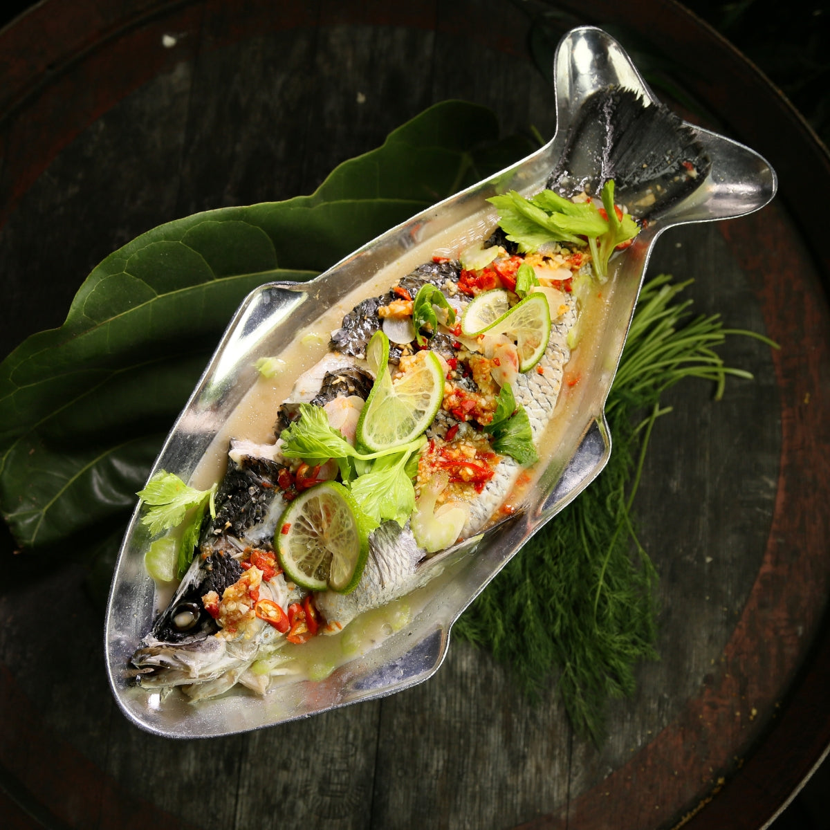 Buy Fish Online in Singapore – Seaco Online