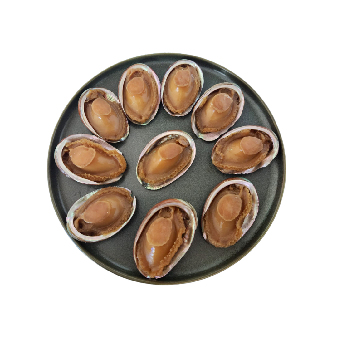 Sake Abalone In Shell | Buy Frozen Abalone Singapore | Seaco Online