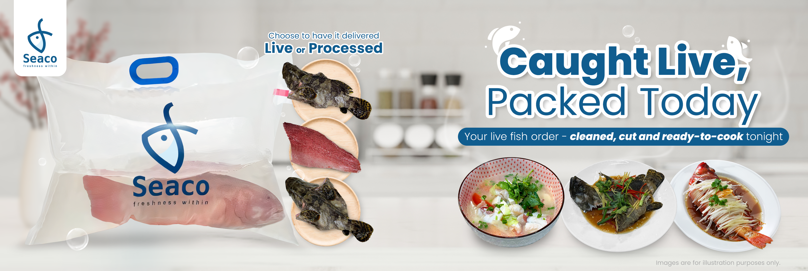 Seaco: Singapore's Trusted Seafood Supplier – Seaco Online